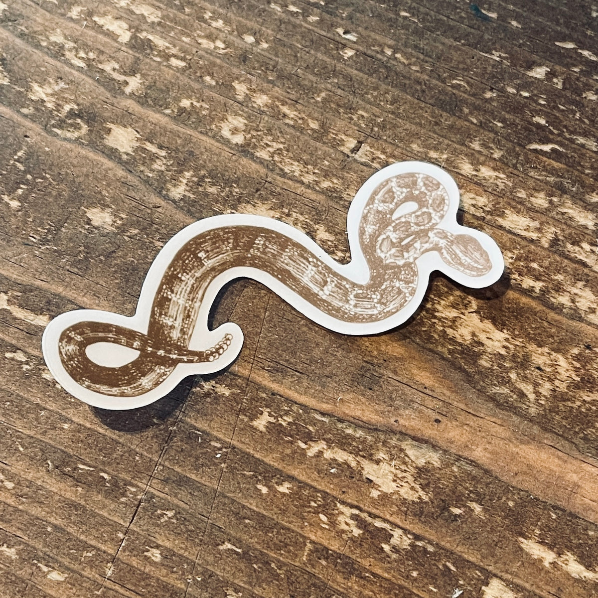Translucent Rattlesnake Sticker – martin mattox