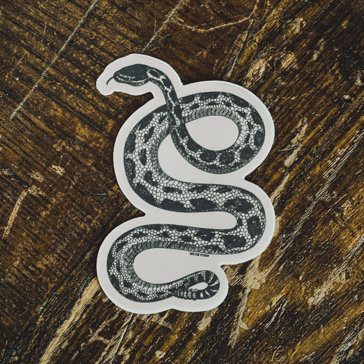 Rattlesnake Sticker – martin mattox